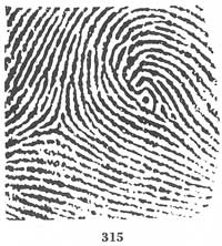 The Science of Fingerprints