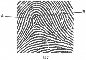 The Science of Fingerprints
