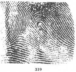 The Science of Fingerprints