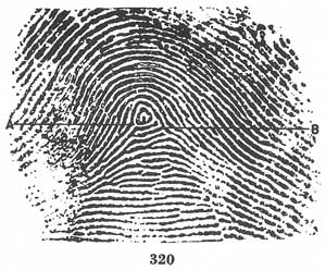 The Science of Fingerprints