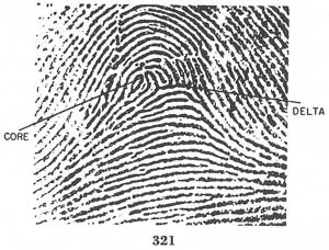 The Science of Fingerprints