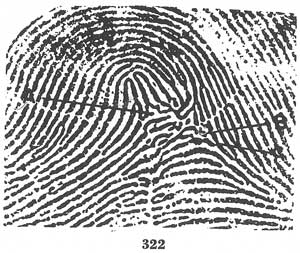 The Science of Fingerprints