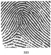 The Science of Fingerprints