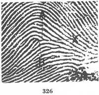 The Science of Fingerprints