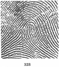 The Science of Fingerprints