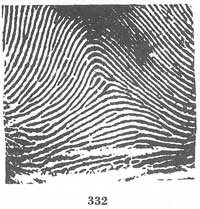 The Science of Fingerprints
