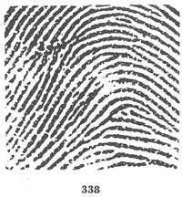The Science of Fingerprints