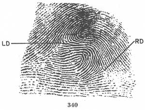 The Science of Fingerprints