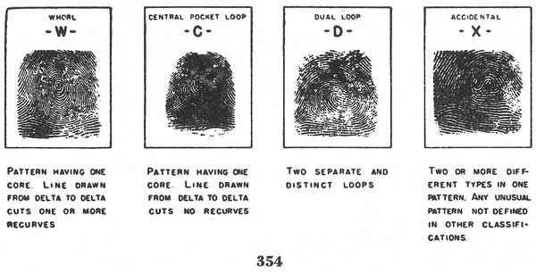 The Science of Fingerprints
