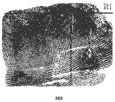 The Science of Fingerprints