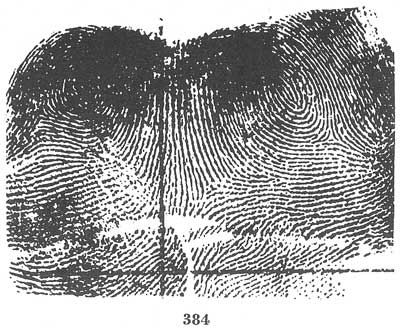 The Science of Fingerprints