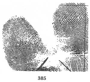 The Science of Fingerprints