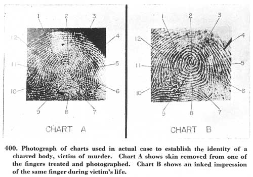 The Science of Fingerprints