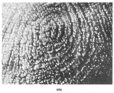 The Science of Fingerprints