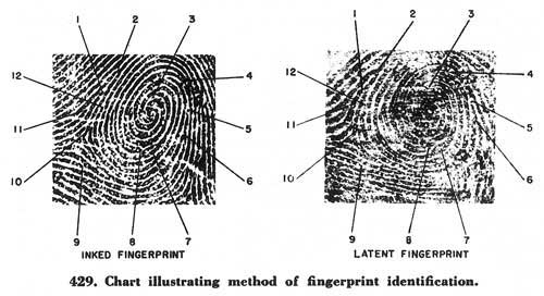 The Science of Fingerprints